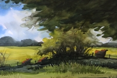Landscapes – Sarah Graham Art